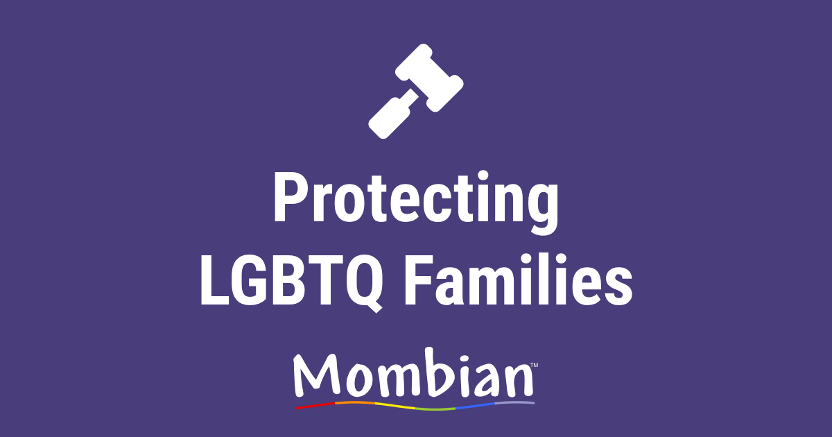 Protecting LGBTQ Families - Mombian